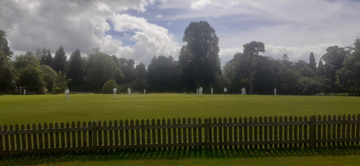 TMGs vs Chipstead 13th August 2023 by EO | mightygreys.com - home of ...